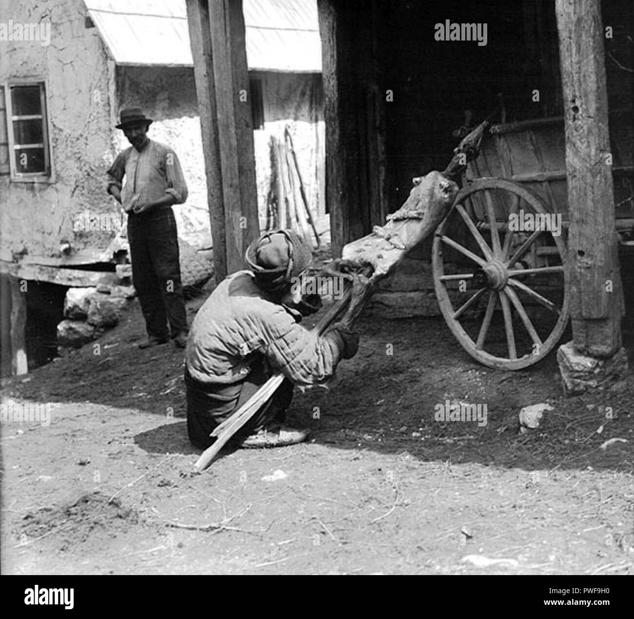Bruner-Dvorak Rudolf - Bosna 5 (ca 1906 Stock Photo - Alamy