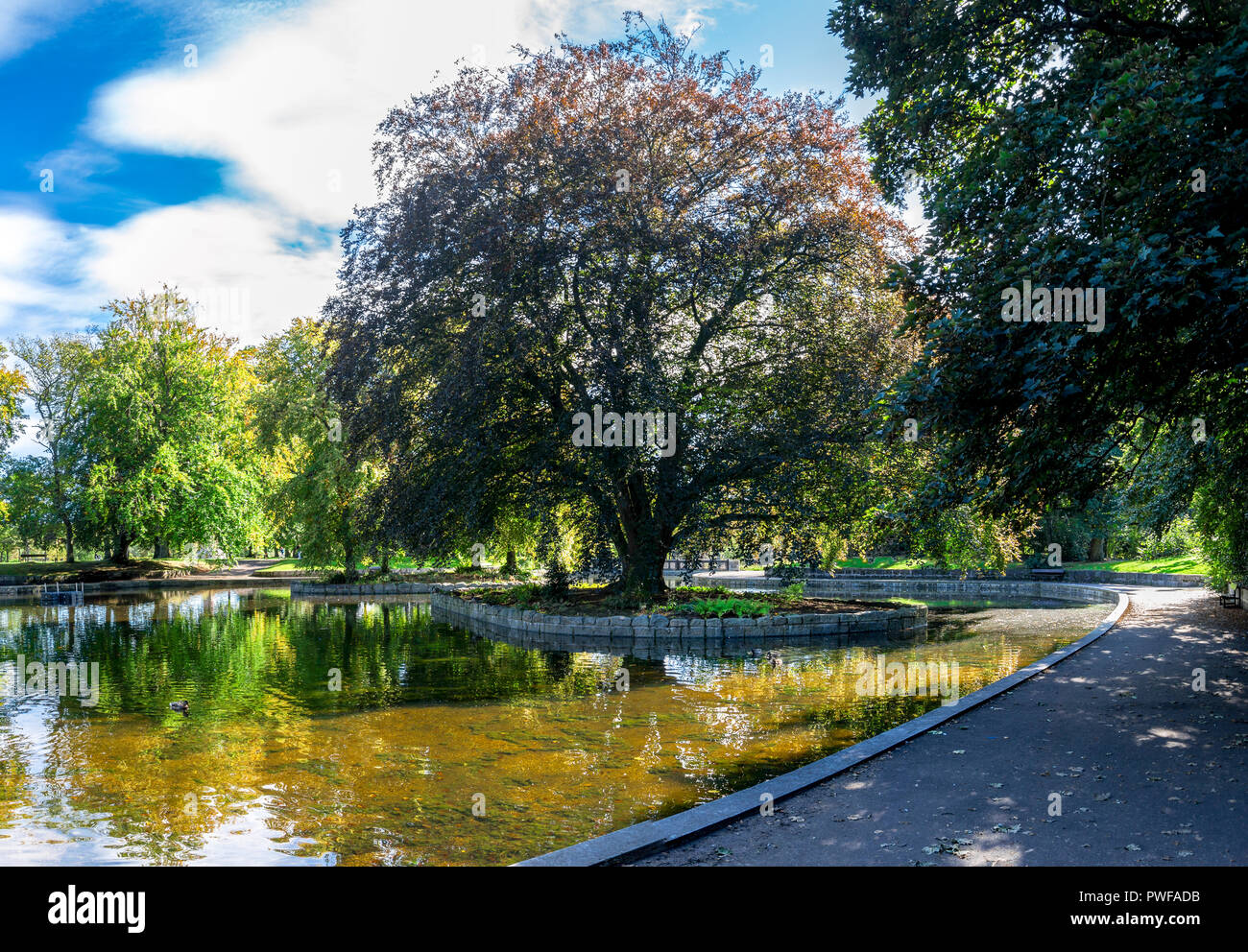 Small shallow pond hi-res stock photography and images - Alamy