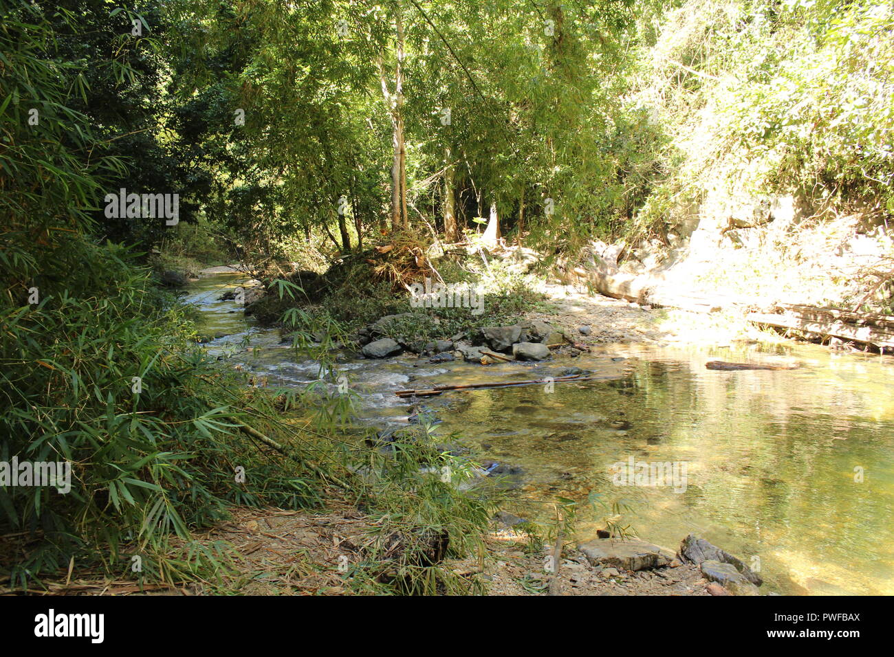 Trinidad And Tobago River High Resolution Stock Photography and Images ...