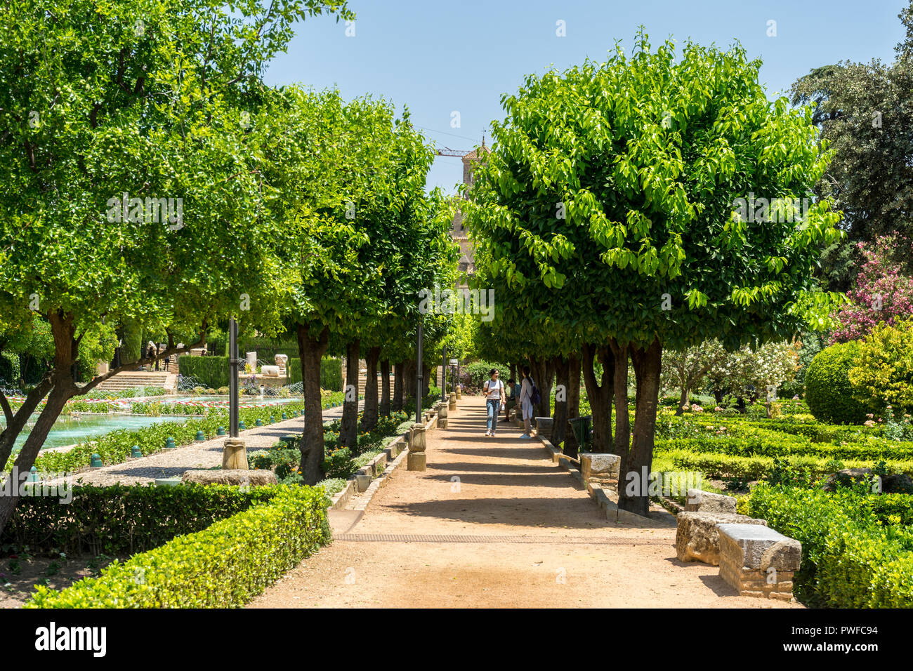 Cordoba, Spain - June 20: Orange TREES IN Jardines PARK, Andalucia ...