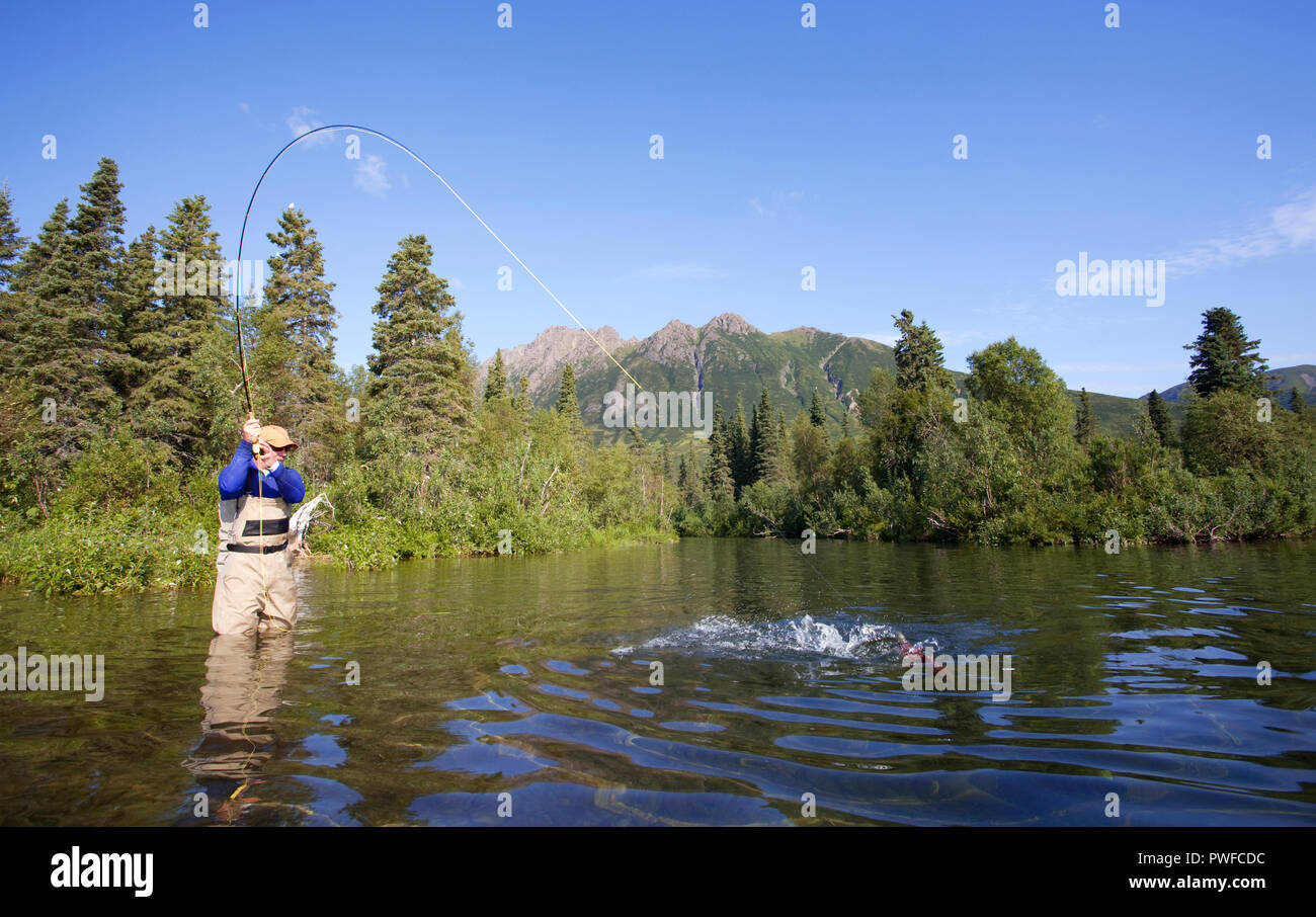 Freshwater fly fishing for trout and salmon Stock Photo - Alamy