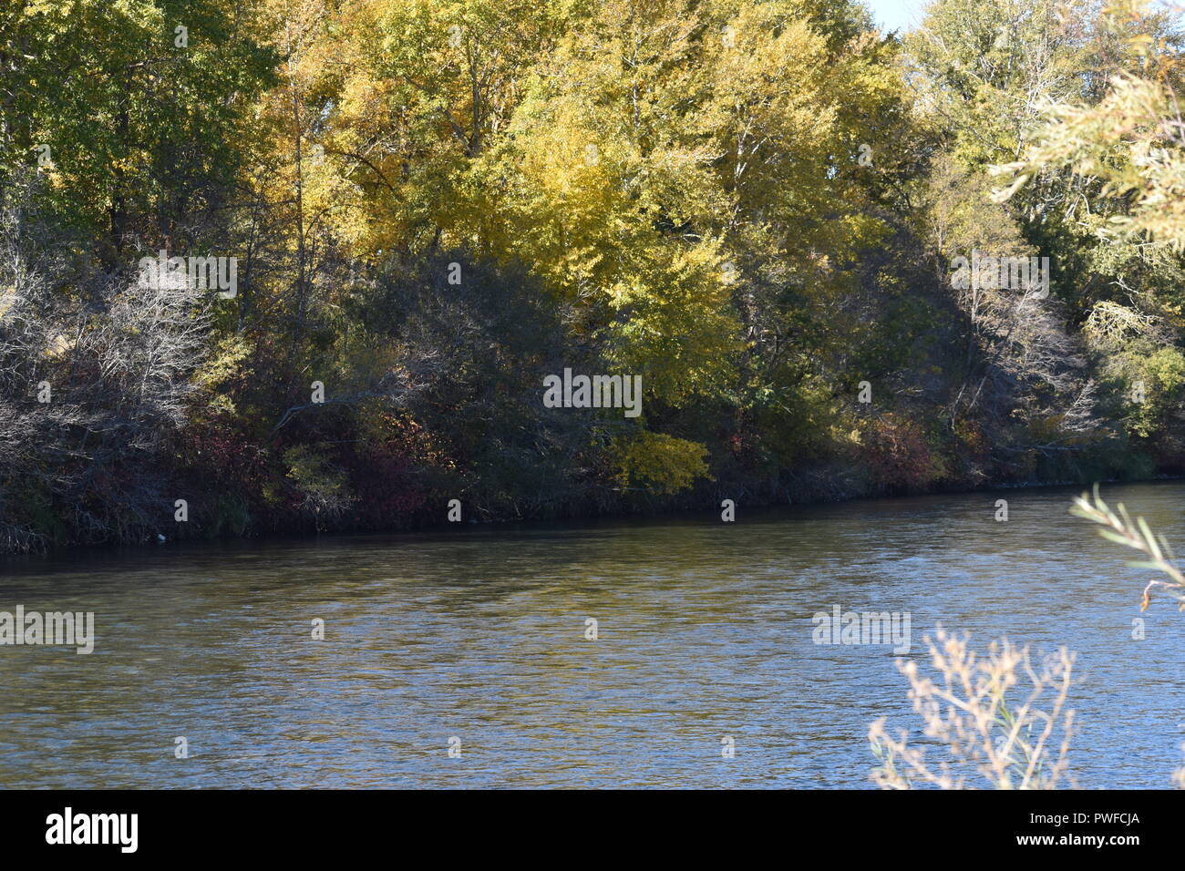 rogue river in oregon Stock Photo - Alamy