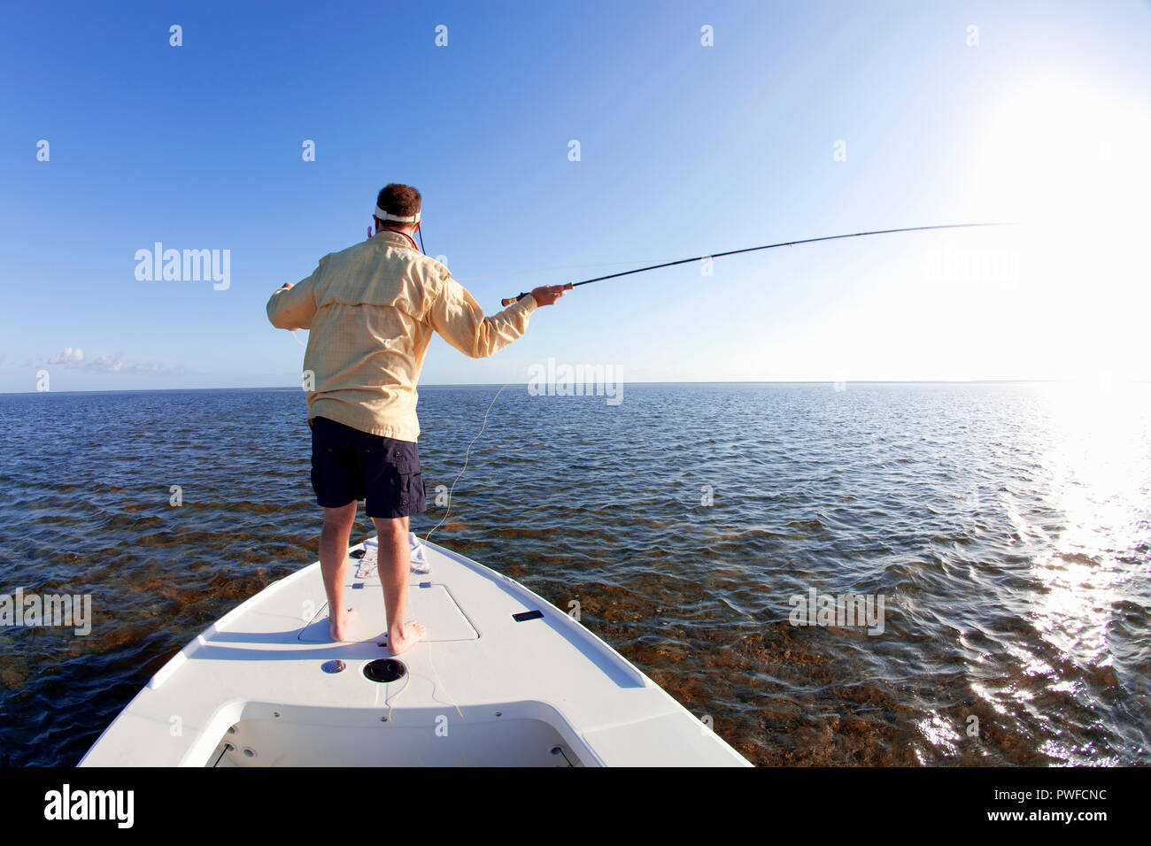 Scene from saltwater fly fishing for bonefish, tarpon, roosterfish ...