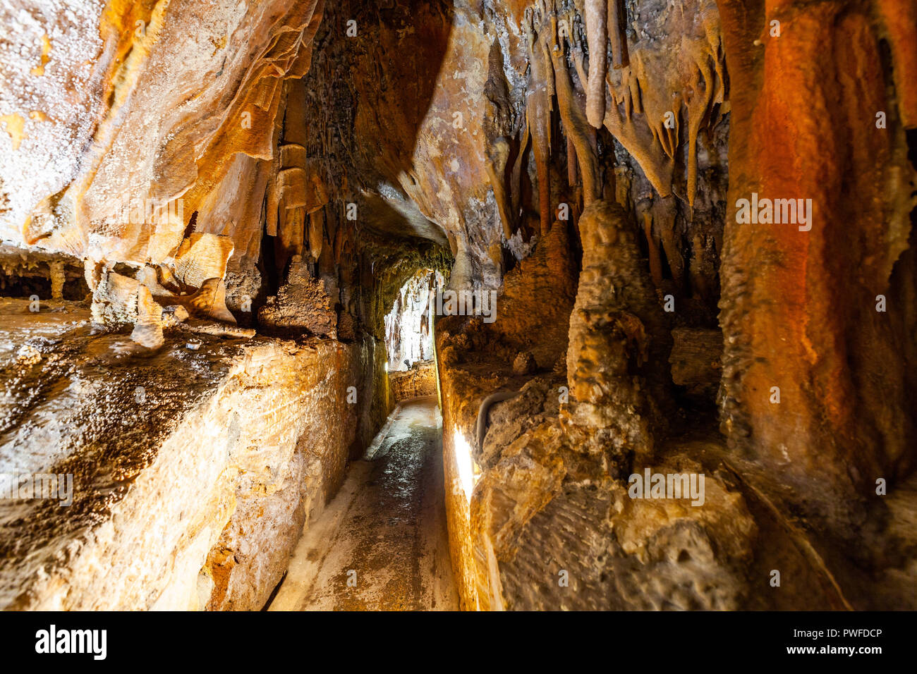 Narrow footpath among helictites in a cave in Australia Stock Photo - Alamy