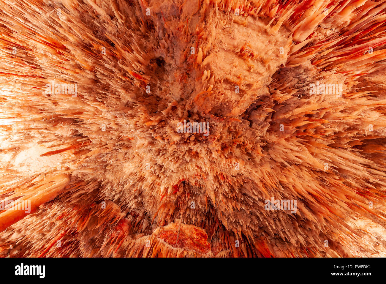 Looking straight up a limestone cave ceiling with a lot of stalactites ...