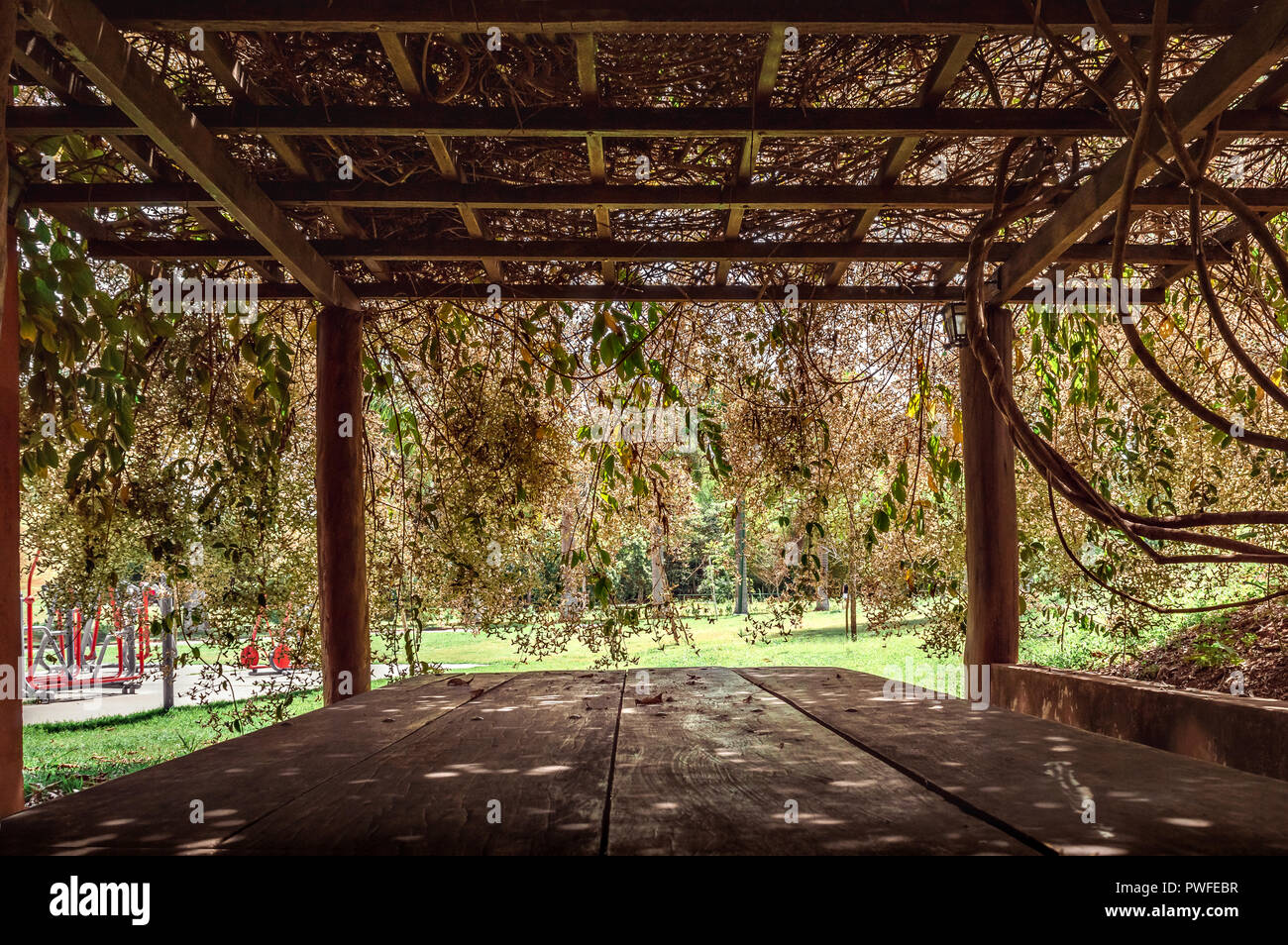 Table for picnic under a wood pergola in a park Stock Photo - Alamy