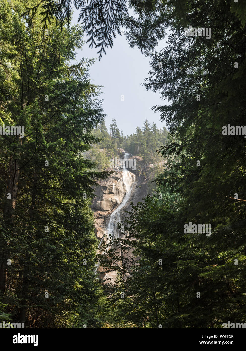 Shannon waterfall hi-res stock photography and images - Alamy