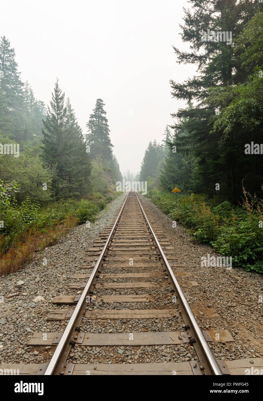 Forest fire tree line hi-res stock photography and images - Alamy