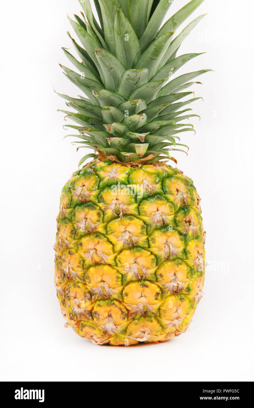 Pine apple isolate in white background Stock Photo - Alamy