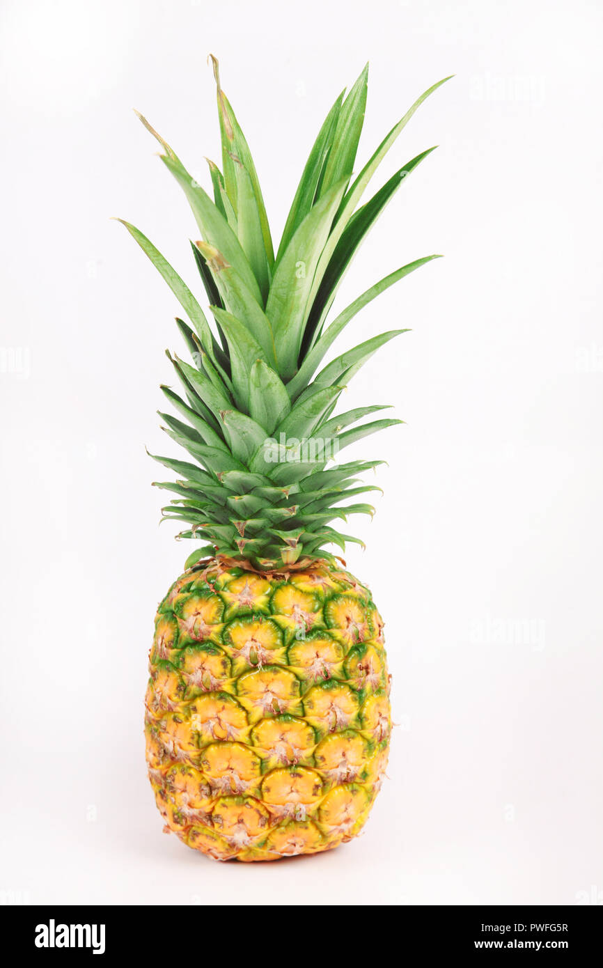 Pine apple isolate in white background Stock Photo - Alamy