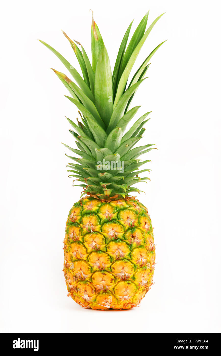 Pine apple isolate in white background Stock Photo - Alamy