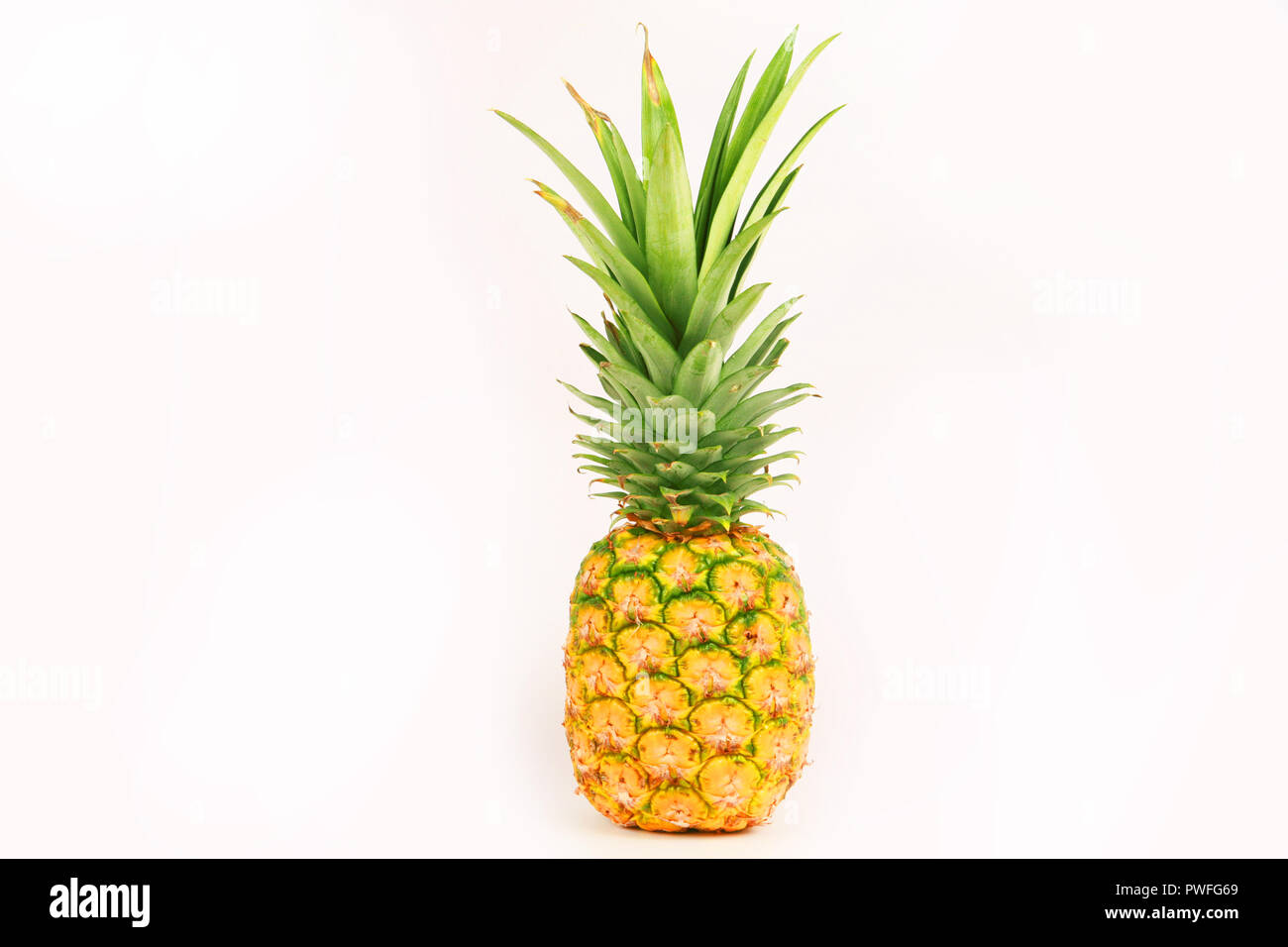 Pine apple isolate in white background Stock Photo - Alamy