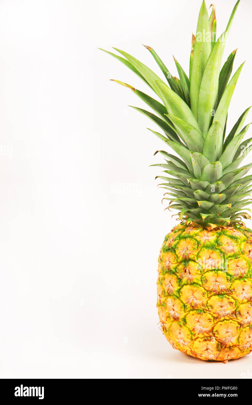 Pine apple isolate in white background Stock Photo - Alamy