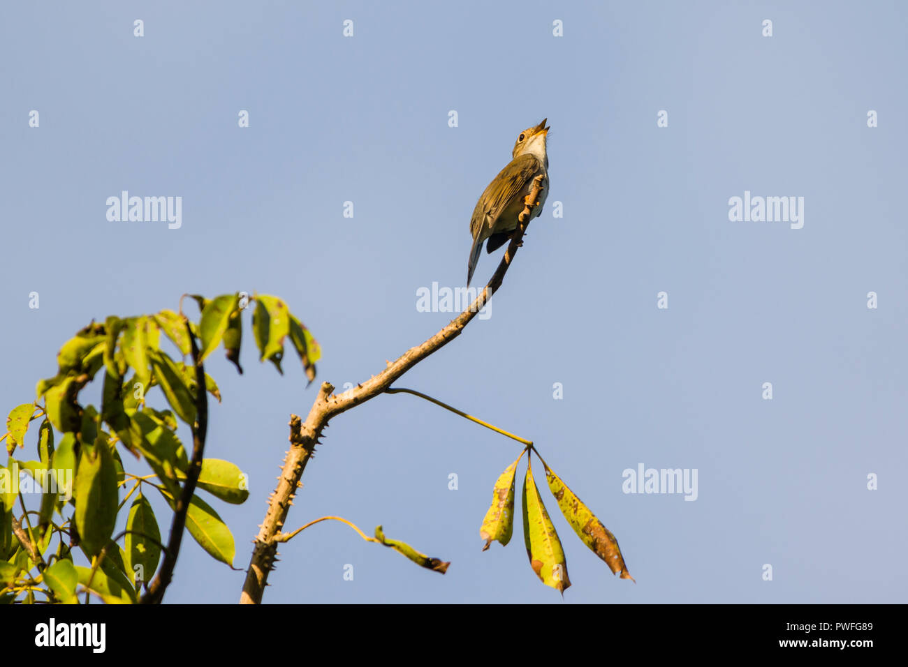 Parque nacional la guira cuba hi-res stock photography and images - Alamy
