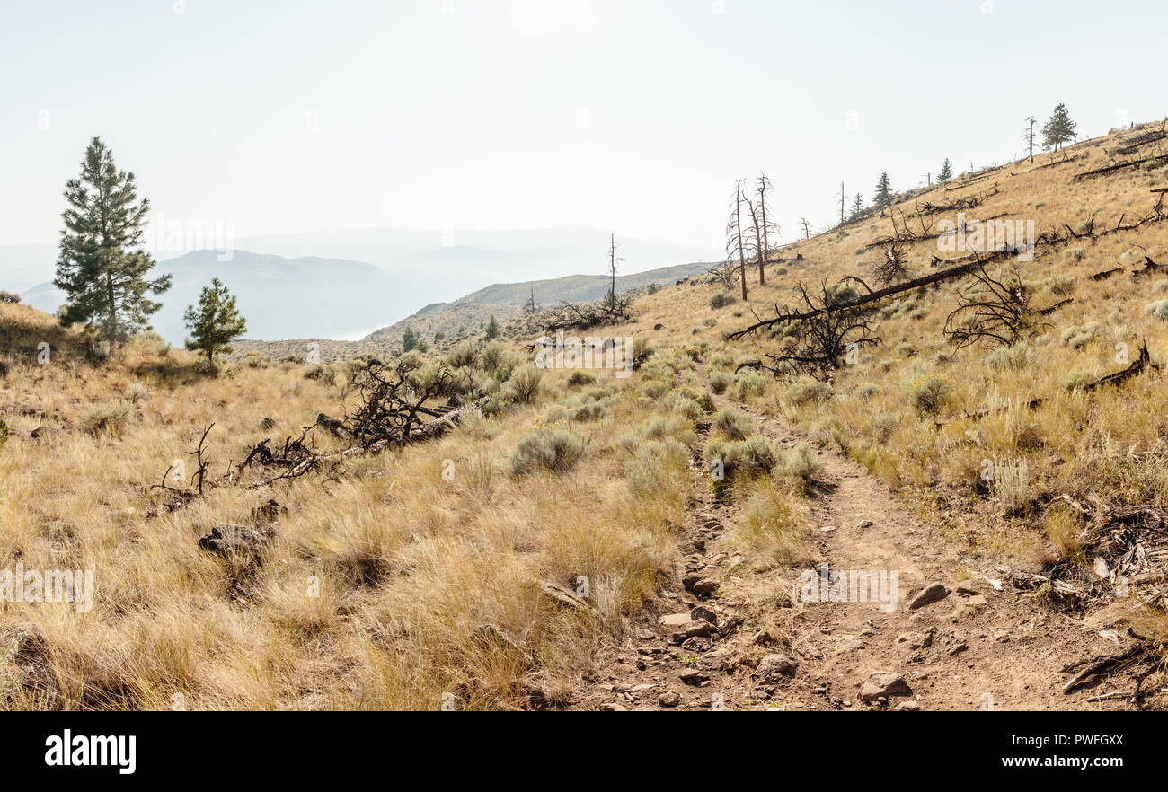 Scenic desert scenery near Kamloops, British Columbia, Canada Stock ...