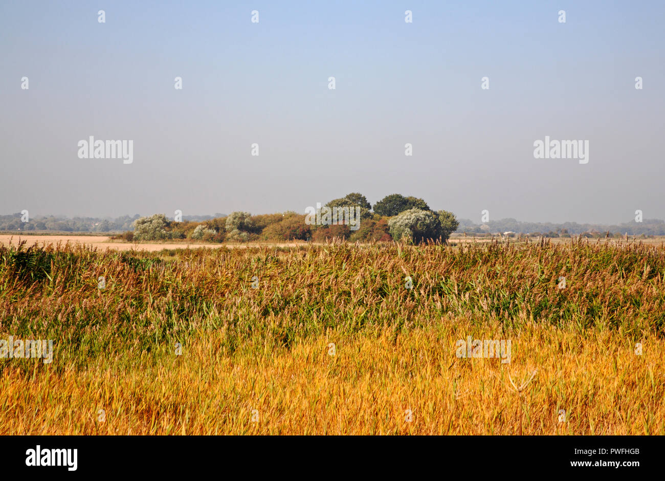 Calthorpe level marshes hi-res stock photography and images - Alamy