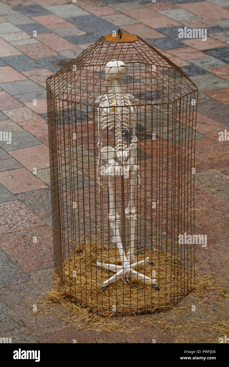 Human skeleton in a cage Stock Photo - Alamy