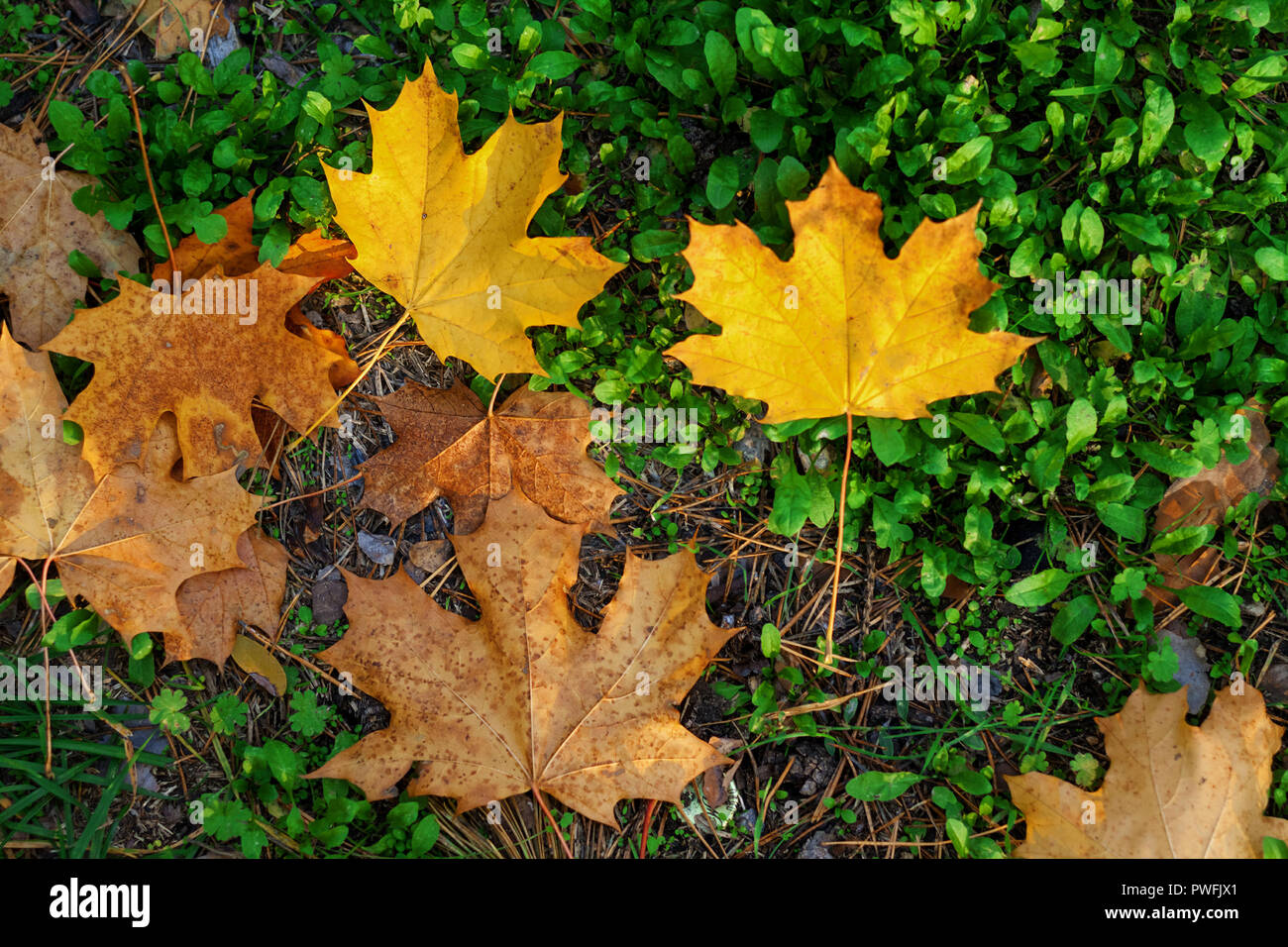Dry underfoot hi-res stock photography and images - Alamy