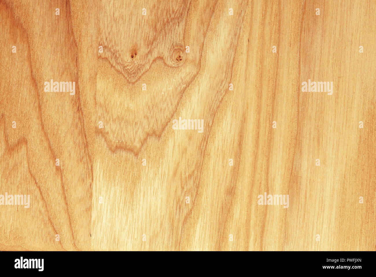 Texture of beech tree texture close-up. Natural wooden background Stock ...