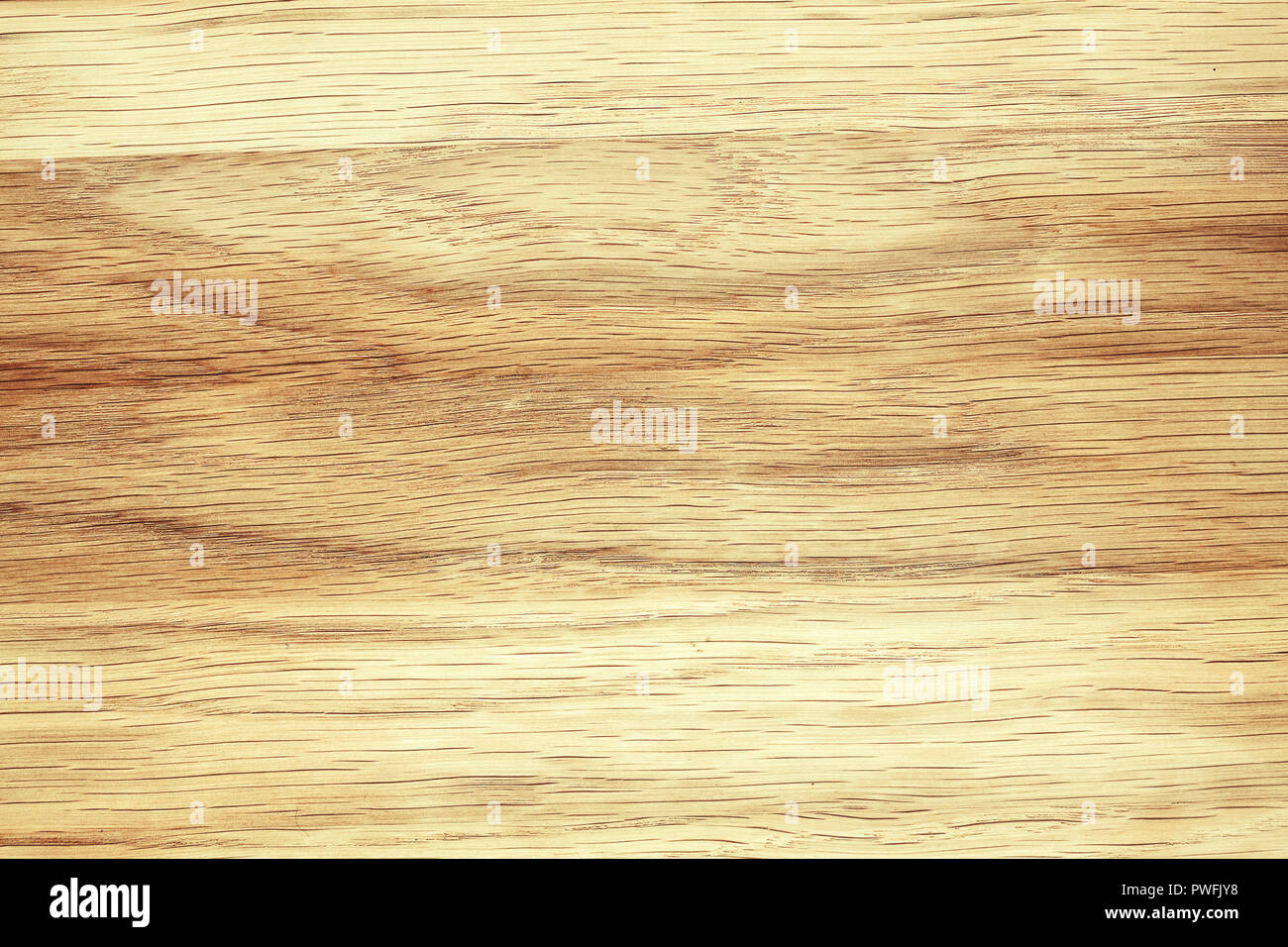 Texture of beech tree texture close-up. Natural wooden background Stock ...