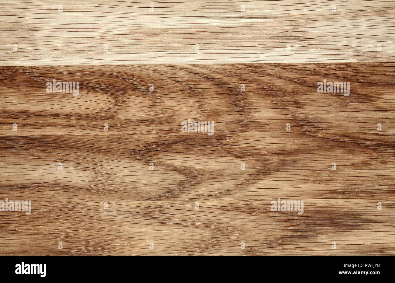 Texture of beech tree texture close-up. Natural wooden background Stock ...