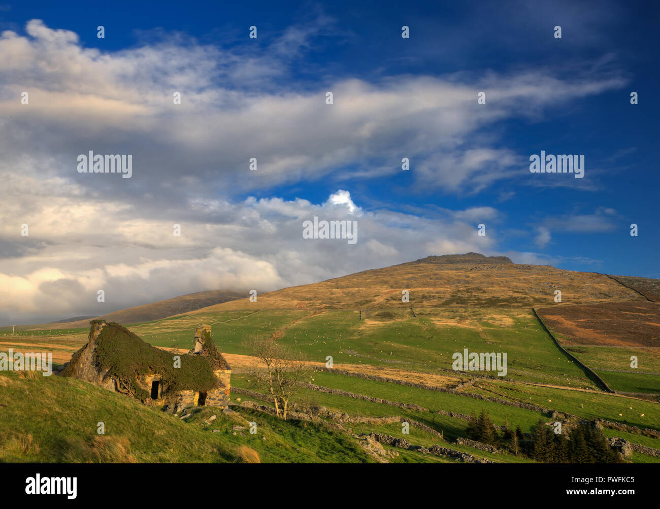 An abandoned farmhouse at Nebo ,North Wales Stock Photo - Alamy