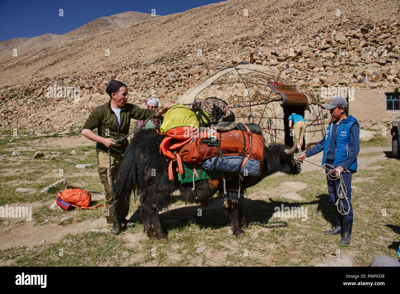 Yak trekking to Lake Zorkul, Tajikistan Stock Photo - Alamy