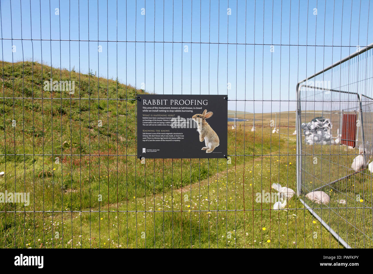 Part of the Ring of Brodgar site, Orkney closed to install rabbit proof ...