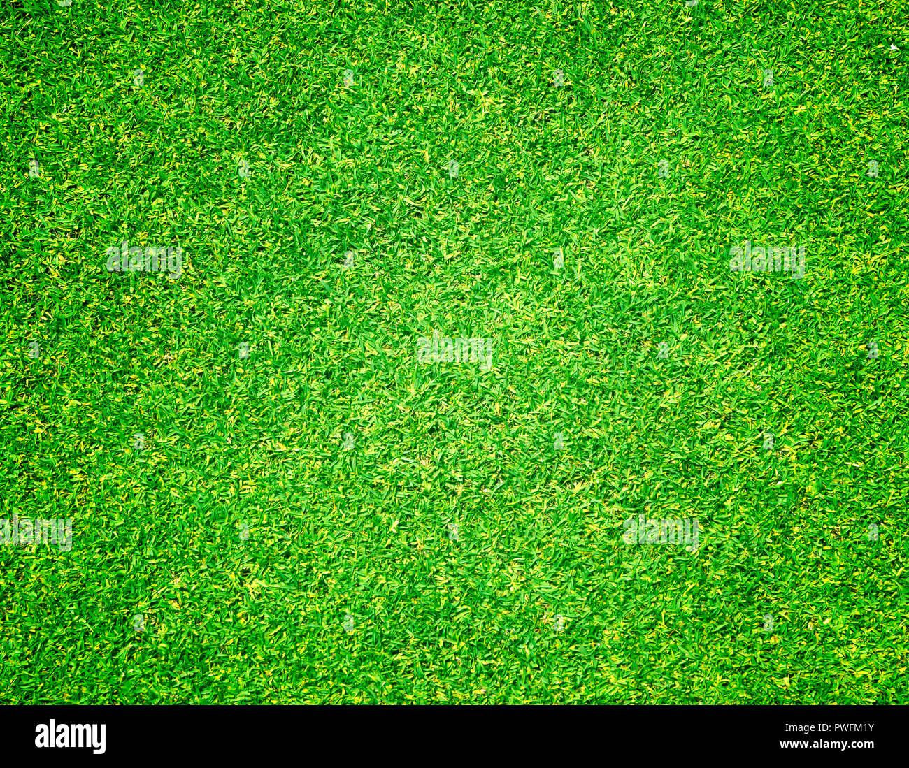 grass background Golf Courses green lawn pattern textured background ...