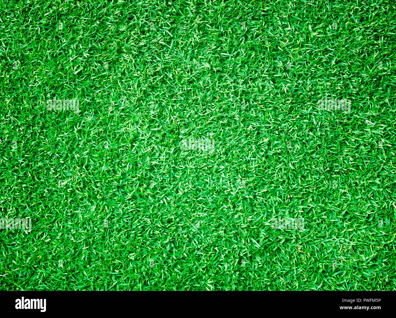 grass background Golf Courses green lawn pattern textured background ...