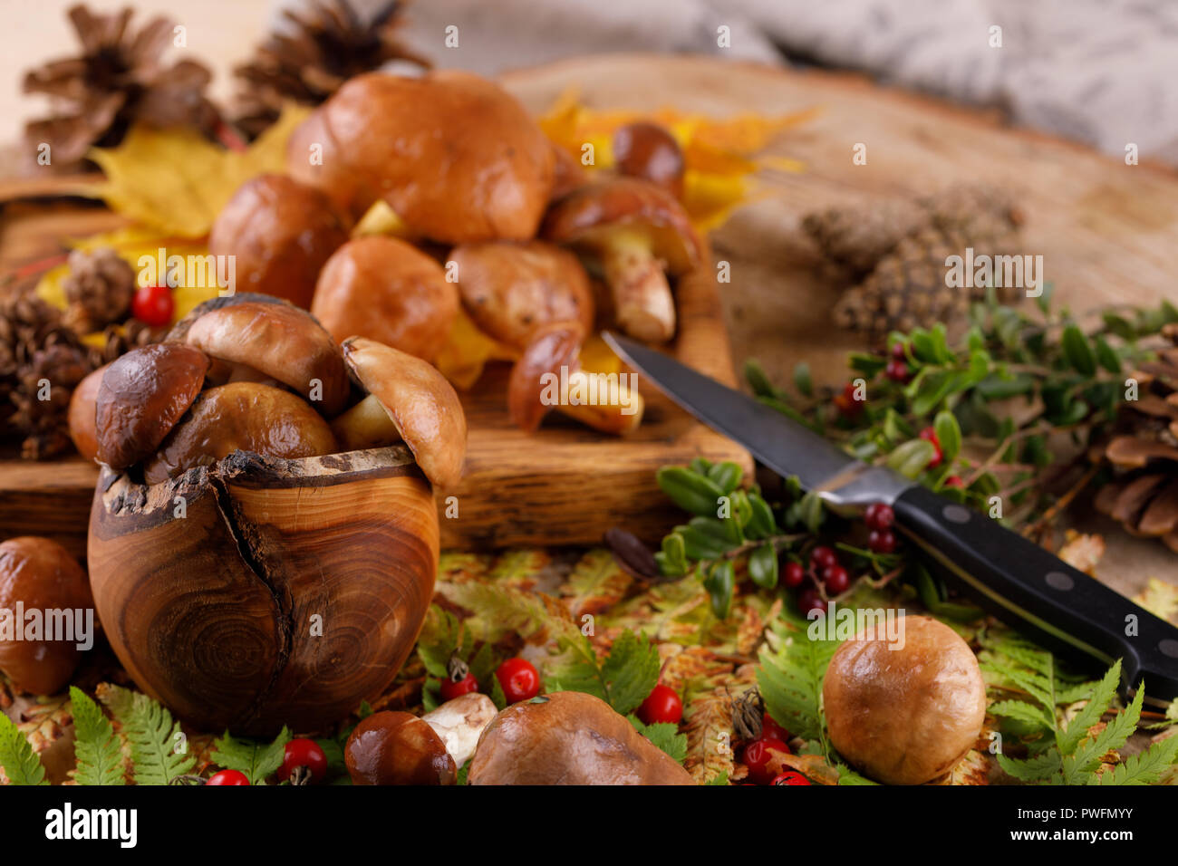 Still life of mushrooms and forest flowers on wooden background ...