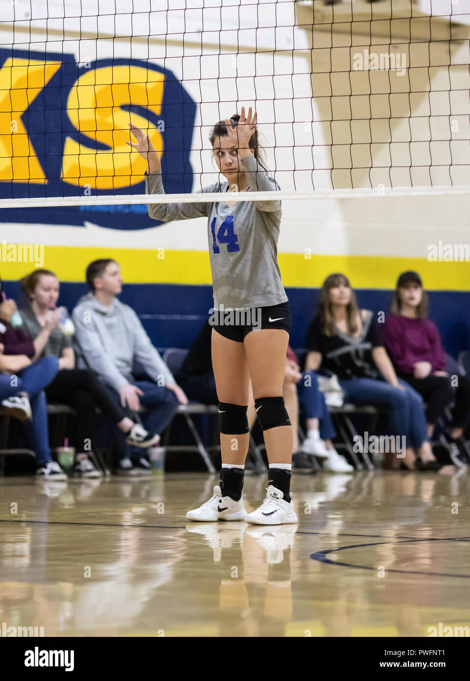 Volleyball action with American Christian Academy vs Butte Valley in ...
