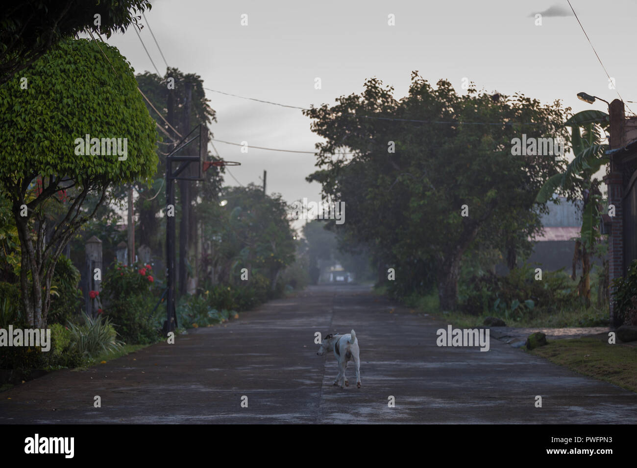 Naga city hi-res stock photography and images - Alamy