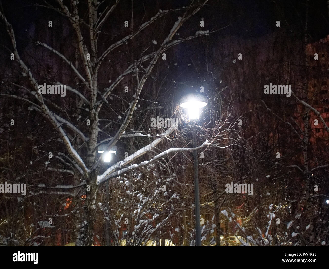 street light at night in winter, Moscow Stock Photo - Alamy