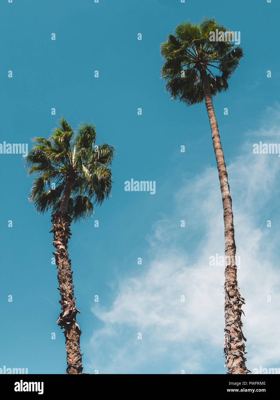 From below shot two hi-res stock photography and images - Alamy