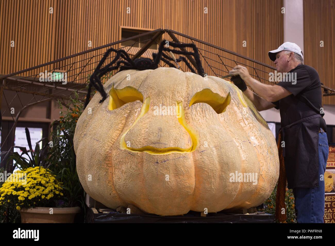 Master pumpkin carver Scott Cully, carving a giant pumpkin in Eugene ...