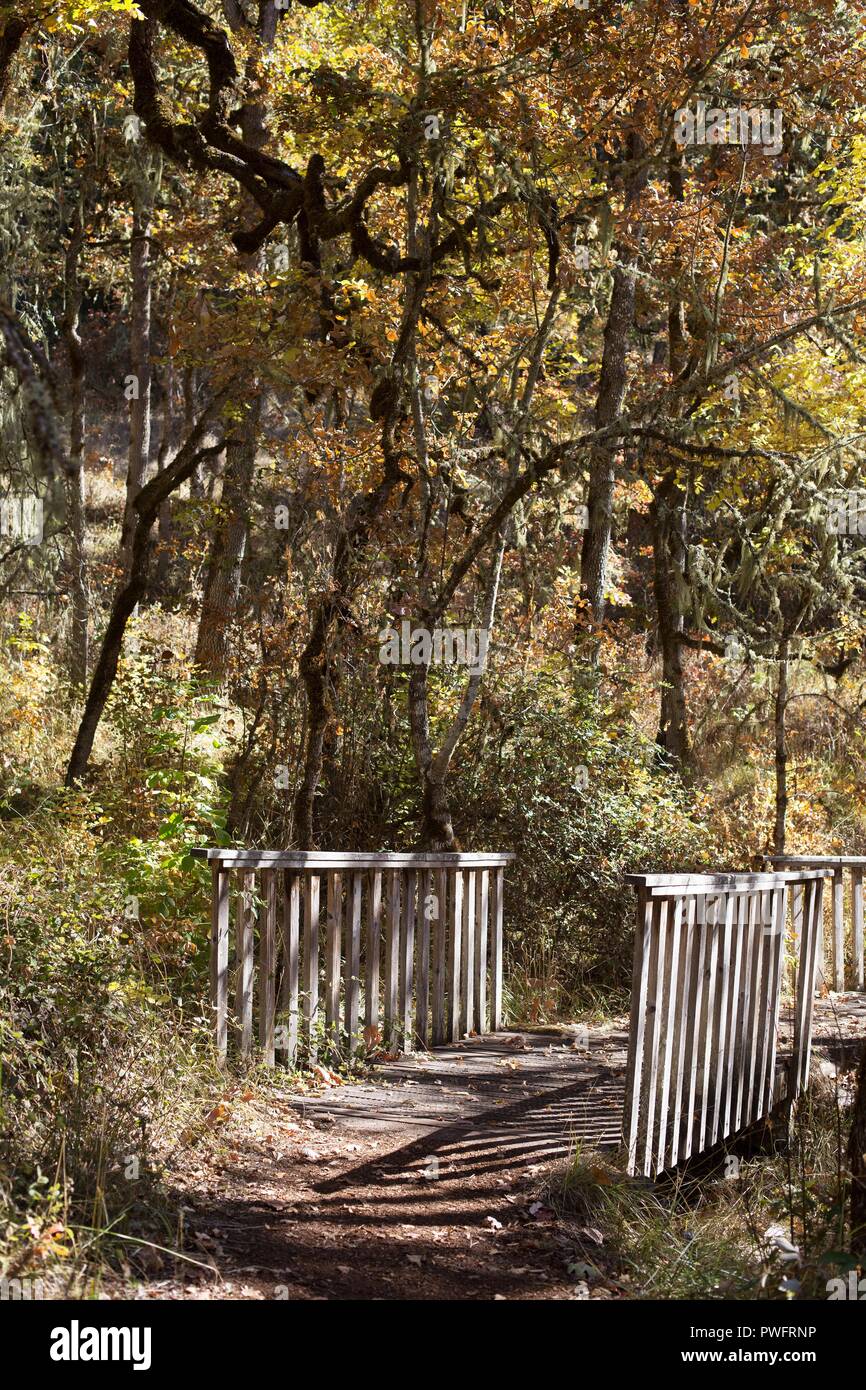 A footbridge on a hiking trail at Mount Pisgah Arboretum in Eugene ...