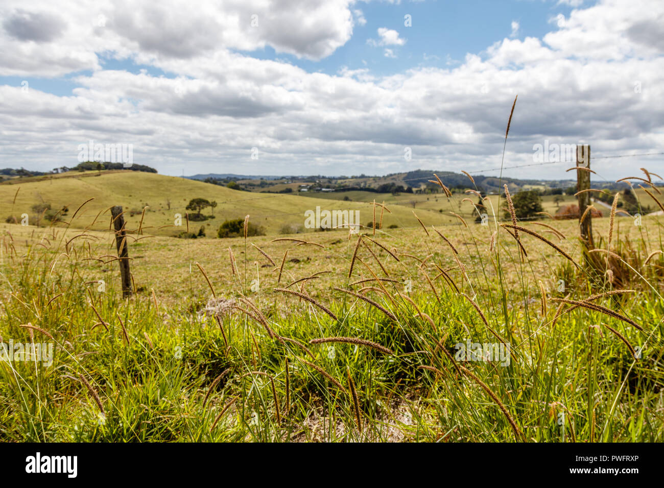 Australian countryside. Sunshine coast, Queensland, Australia Stock ...