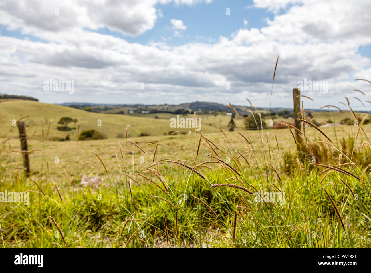 Australian view hi-res stock photography and images - Alamy
