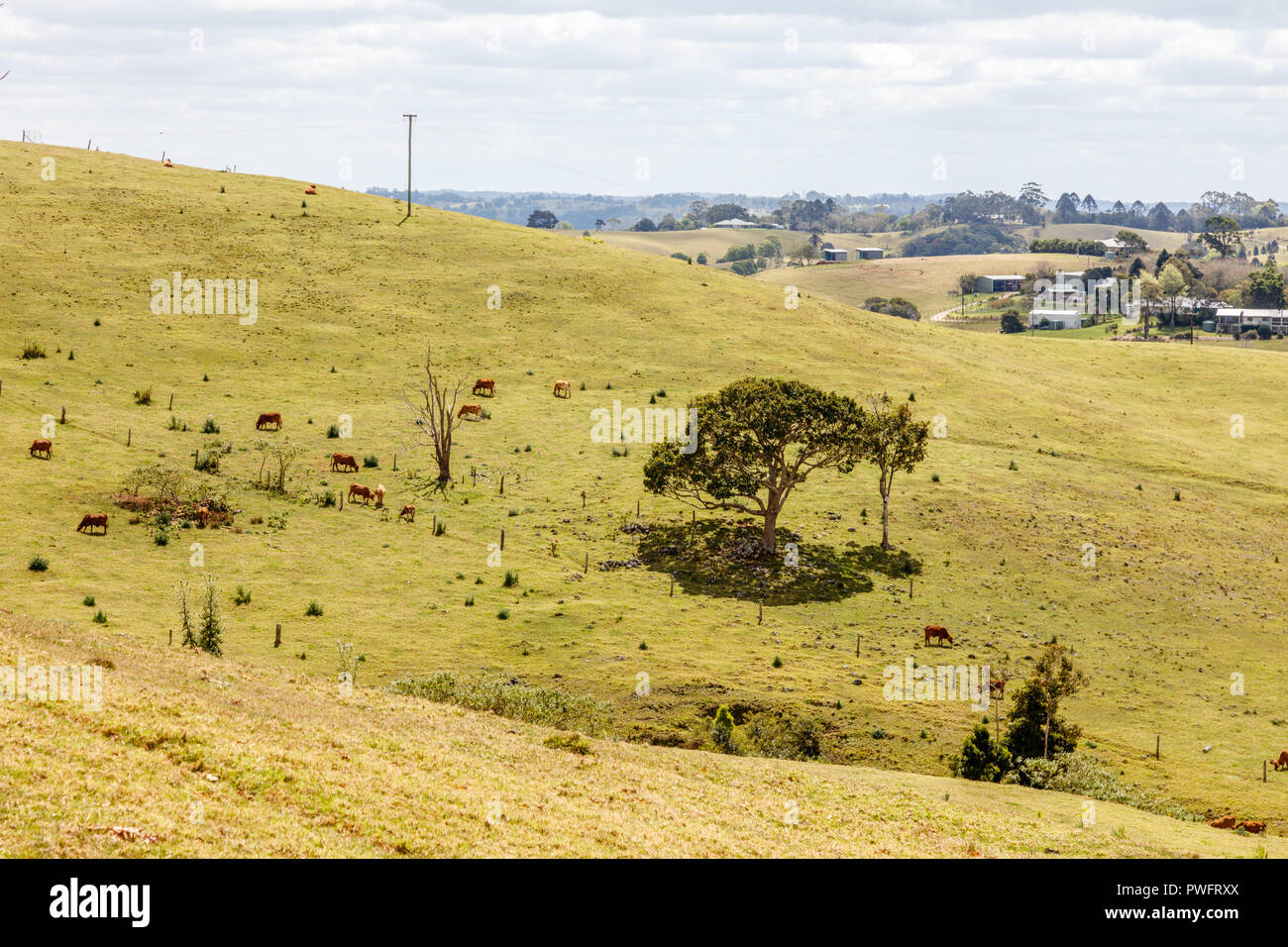 Australian view hi-res stock photography and images - Alamy