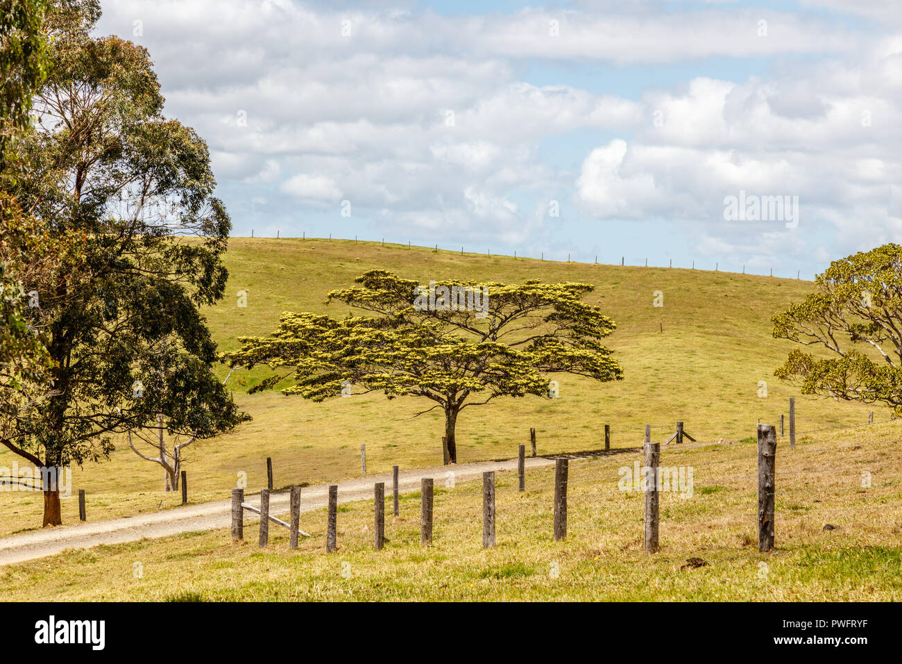 Australian countryside. Road through the farms. Sunshine coast ...