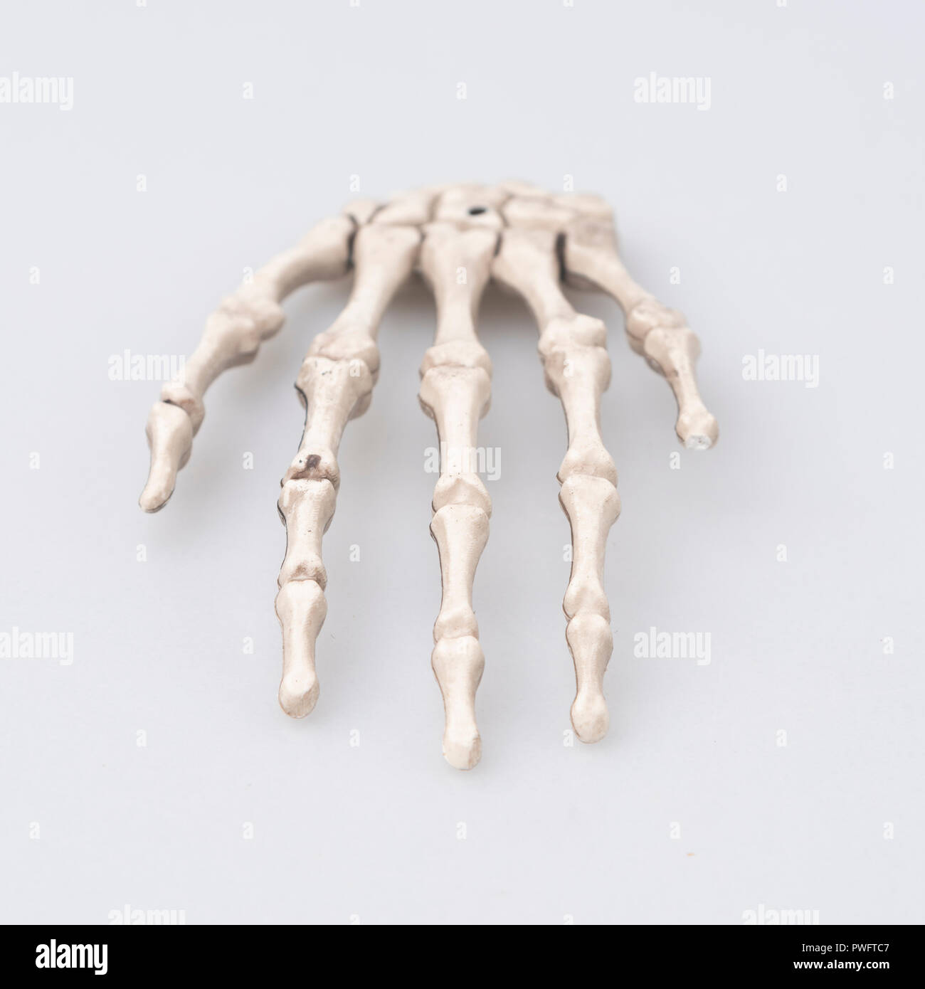 Human finger bone, Halloween concept Stock Photo - Alamy