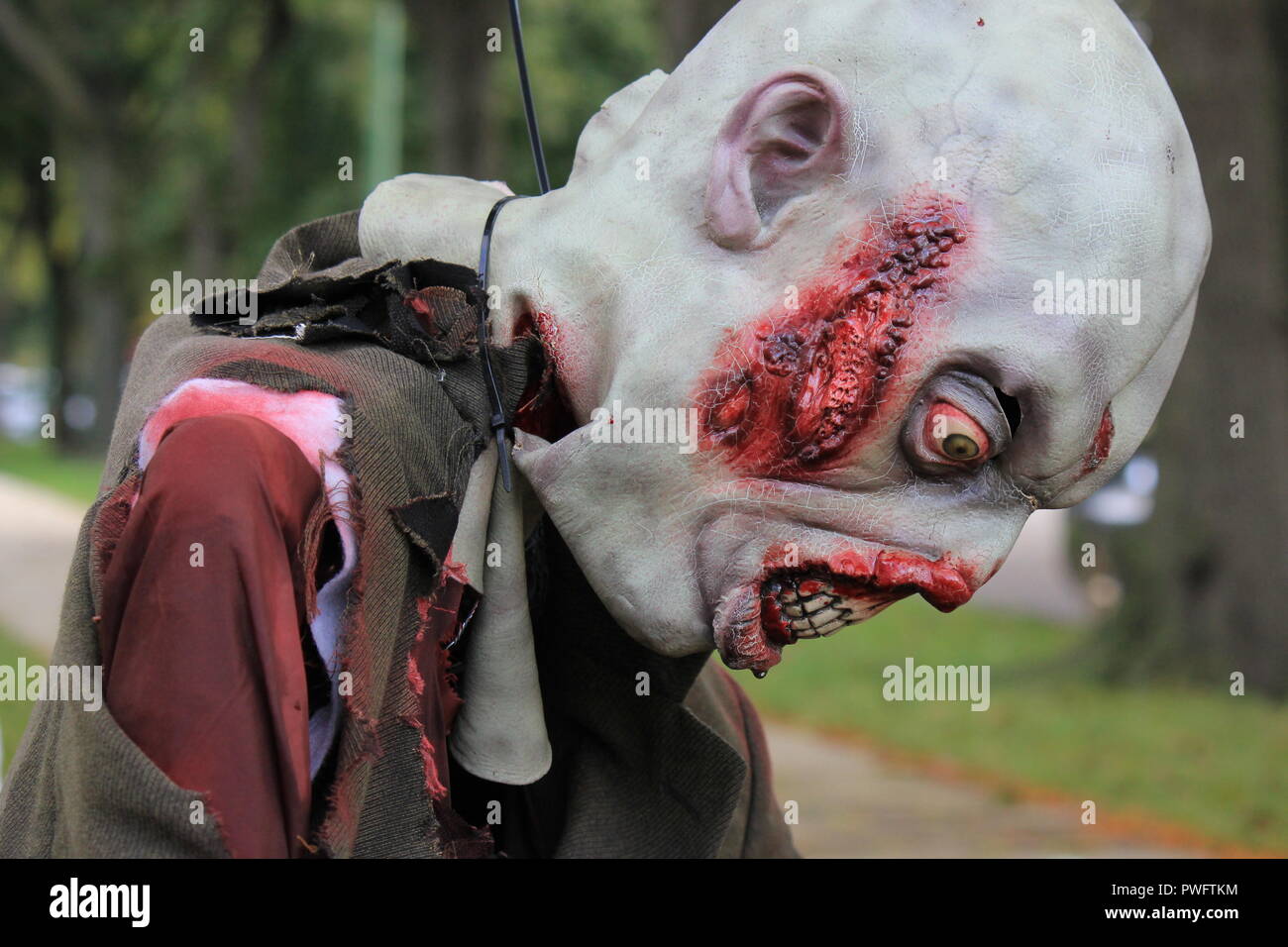 Zombie looking down with lots of intent as a Scary, gruesome ...