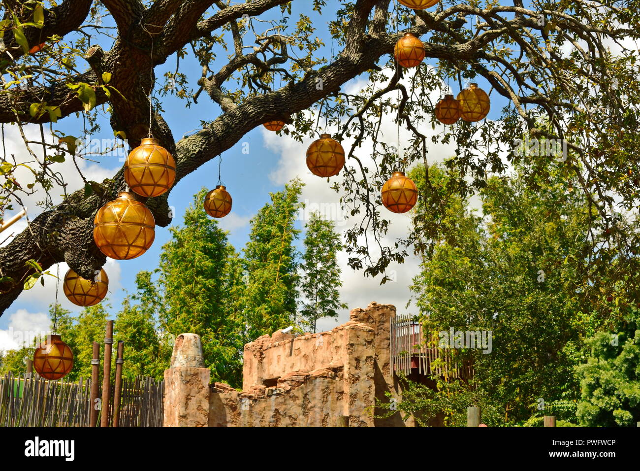 Green Bay Tree High Resolution Stock Photography and Images - Alamy