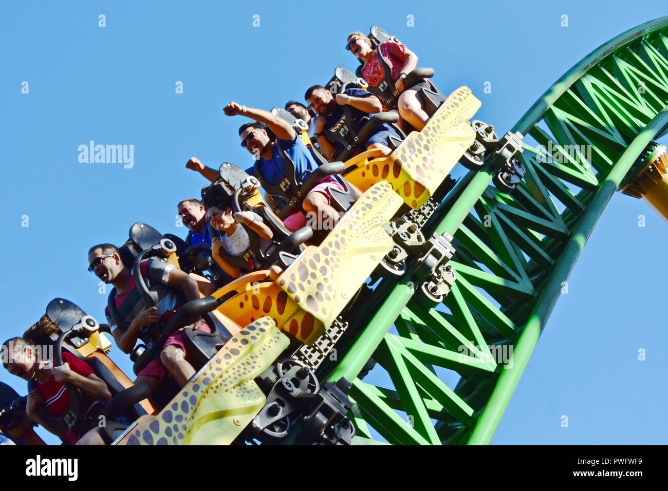 Tampa, Florida; September 29,2018. Fantastic Cheetah Hunt Roller ...