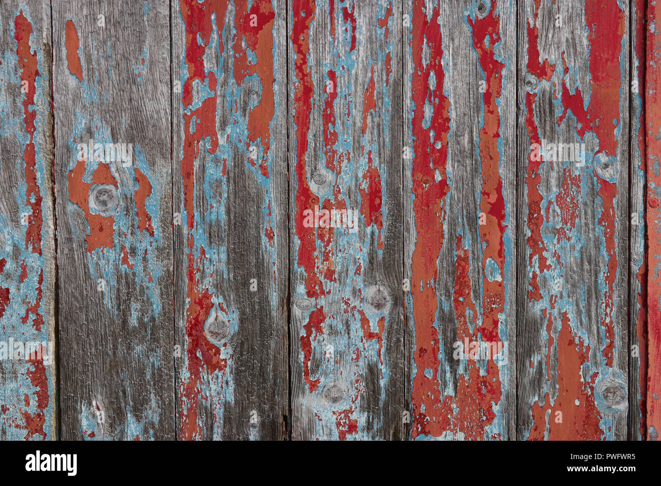Old wood door built of vertical gray weathered planks, has paint worn ...