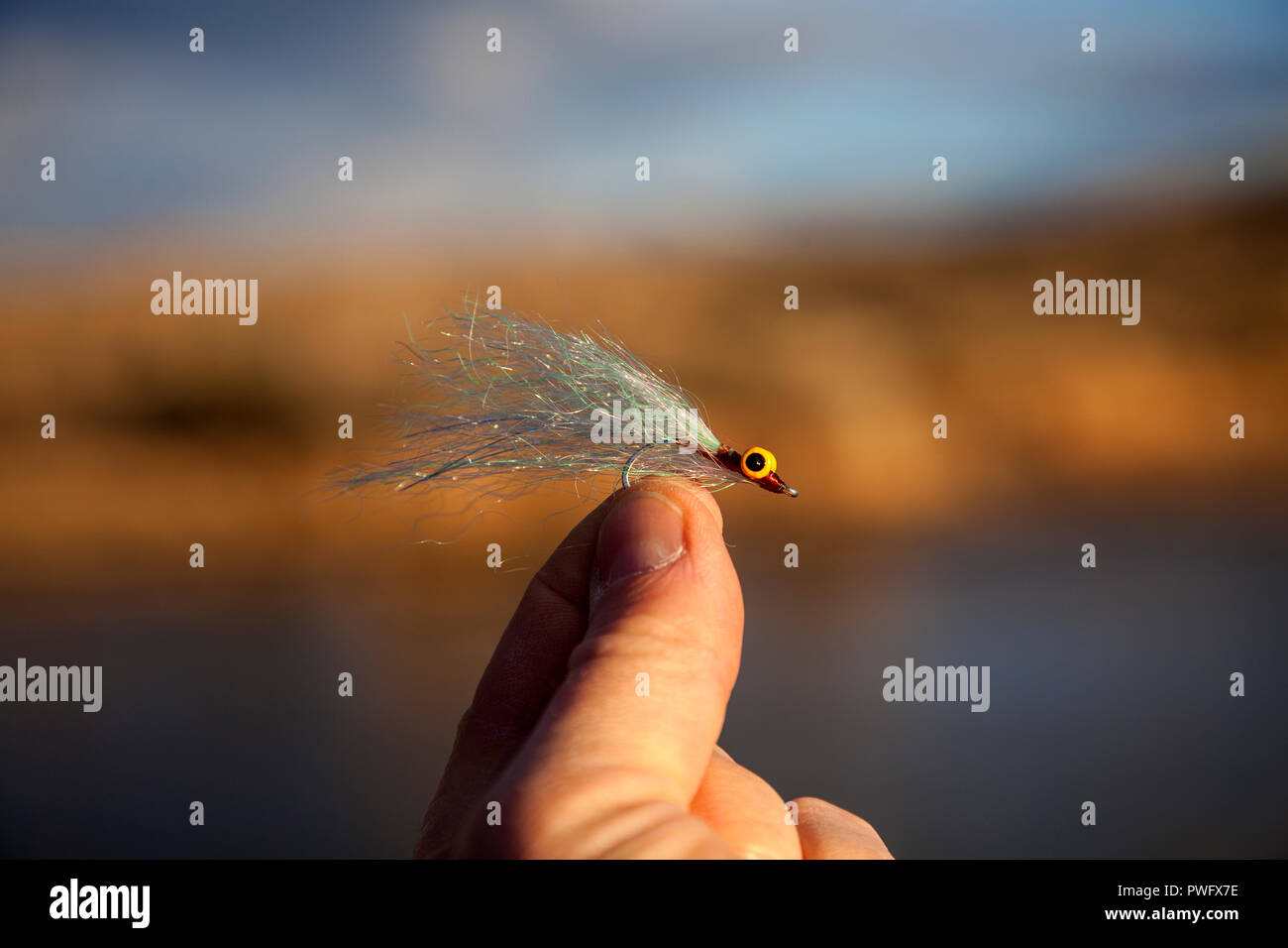 Freshwater fly fishing for trout and salmon Stock Photo - Alamy