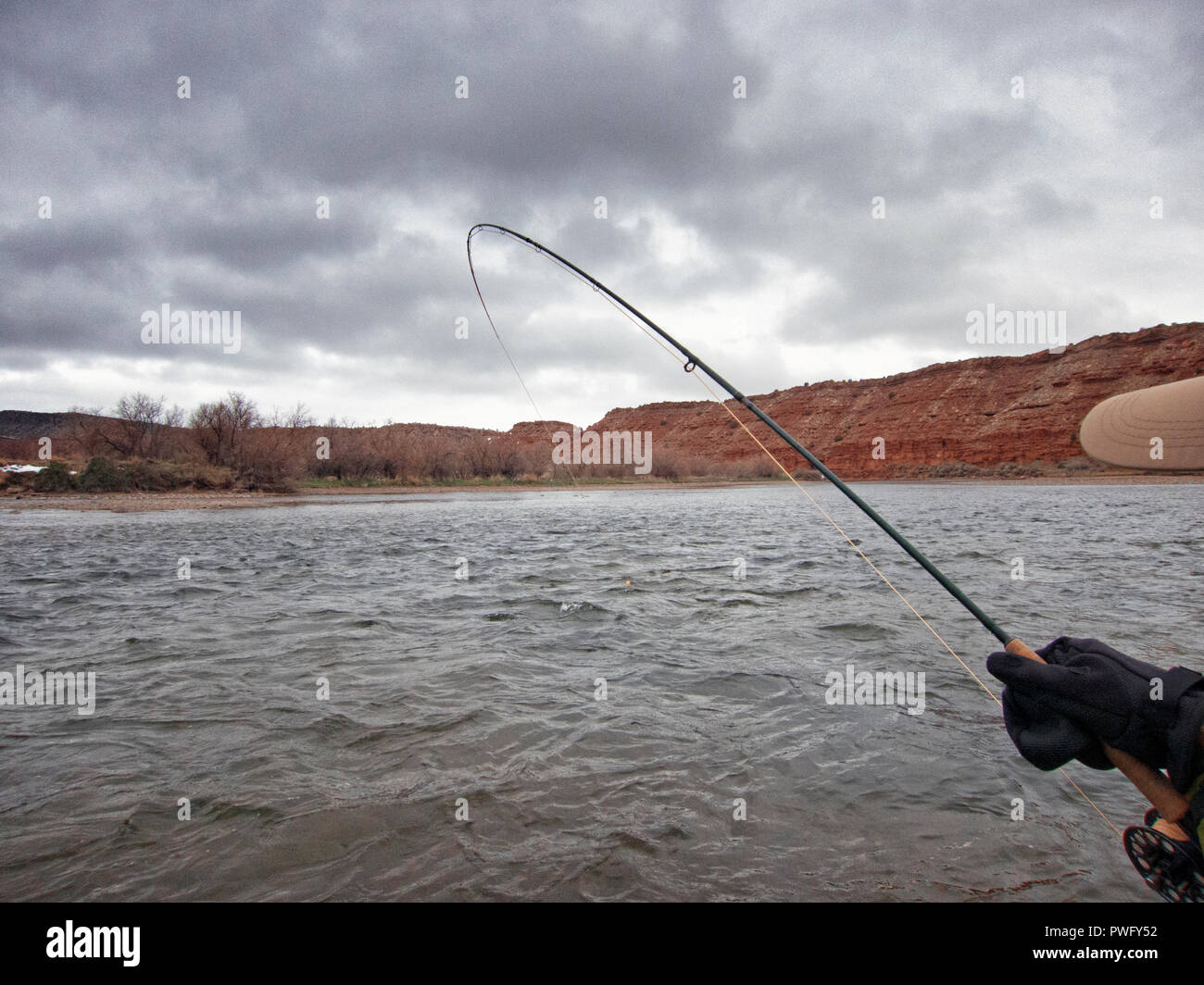 Natural fishing hi-res stock photography and images - Alamy