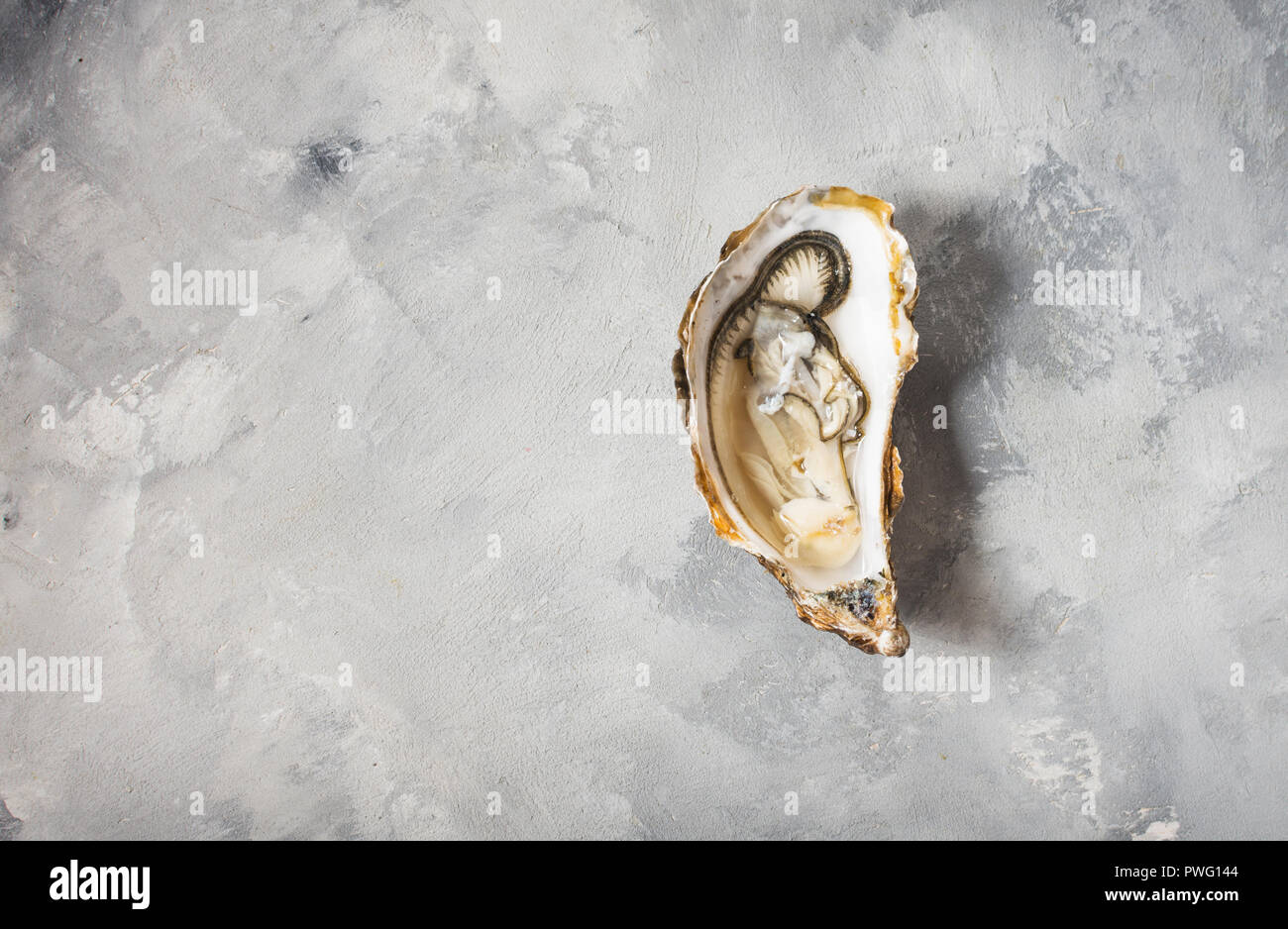 Opened Oyster on gray concrete texture background. Top view Stock Photo ...