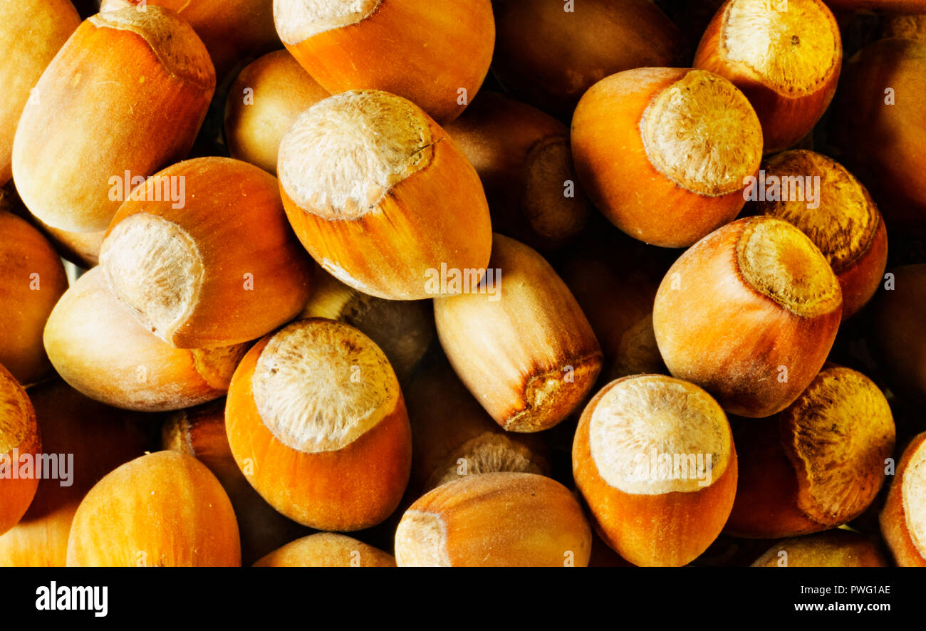 Heap of hazelnuts , bright and saturated colors ,top view , studio shot ...